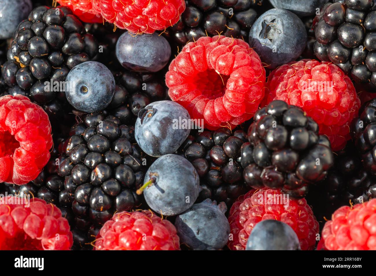 healthy food blackberries raspberries blueberries different berries ...