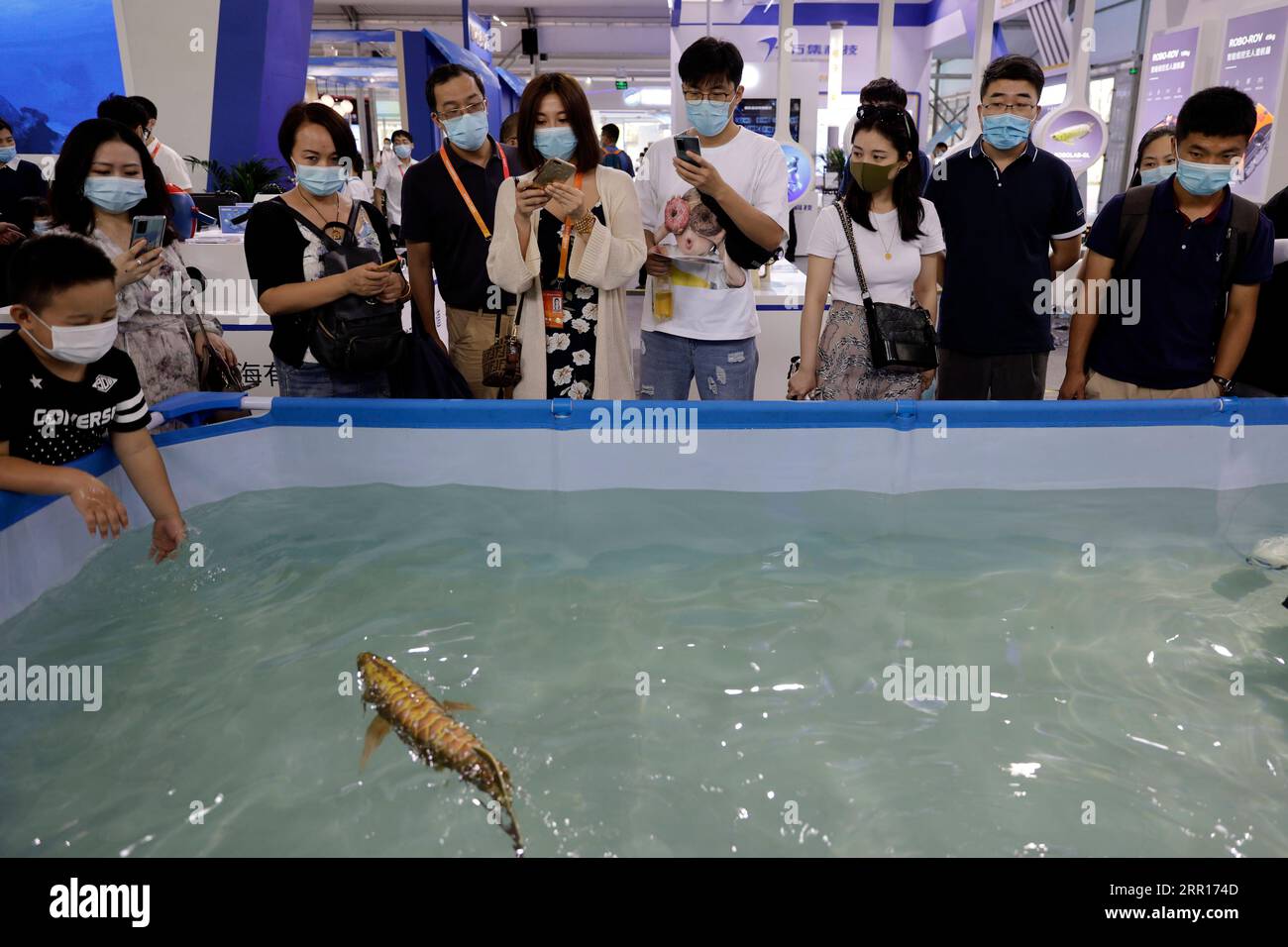 Robo fish hi-res stock photography and images - Alamy