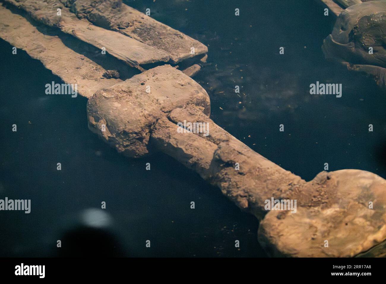 Jerusalem, Israel. 6th September, 2023. A rare cache of Roman Period ...