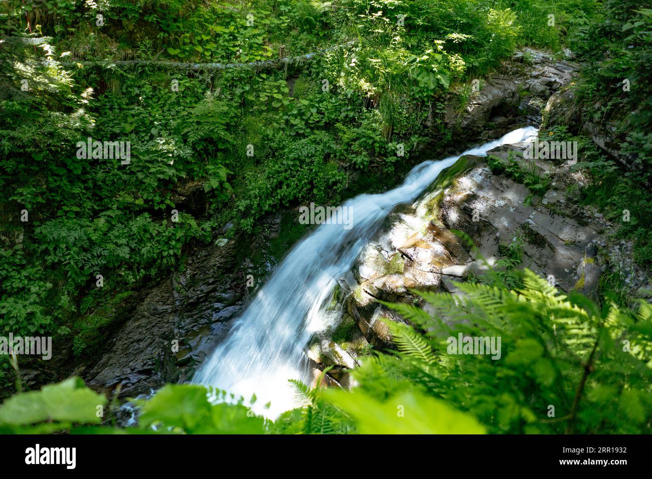 clear water of wild mountain river waterfall Stock Photo - Alamy