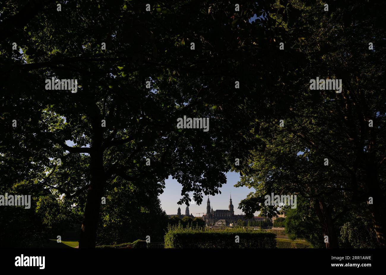 Dresden, Germany. 06th Sep, 2023. View through the leaves of the ...