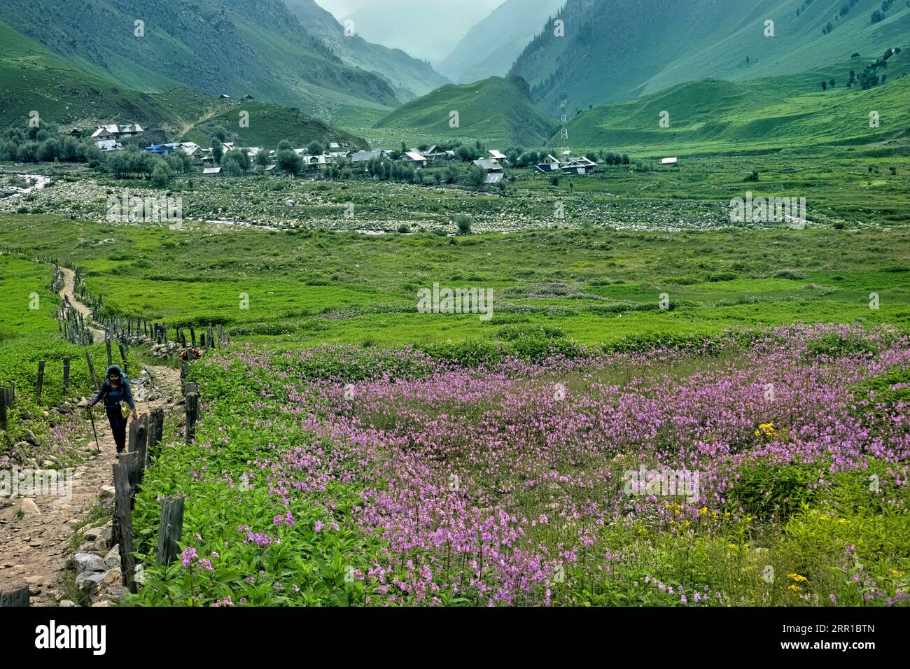 Trekking to Sukhnai village, Warwan Valley, Kashmir, India Stock Photo ...