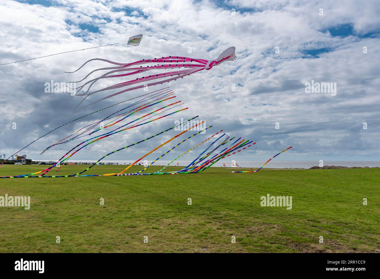 Kites at so-called Drachenwiese, Norddeich, Lower Saxony, Germany ...