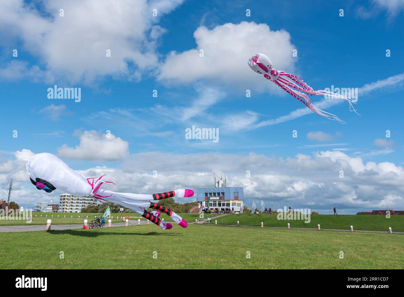 Kites at so-called Drachenwiese, Norddeich, Lower Saxony, Germany ...