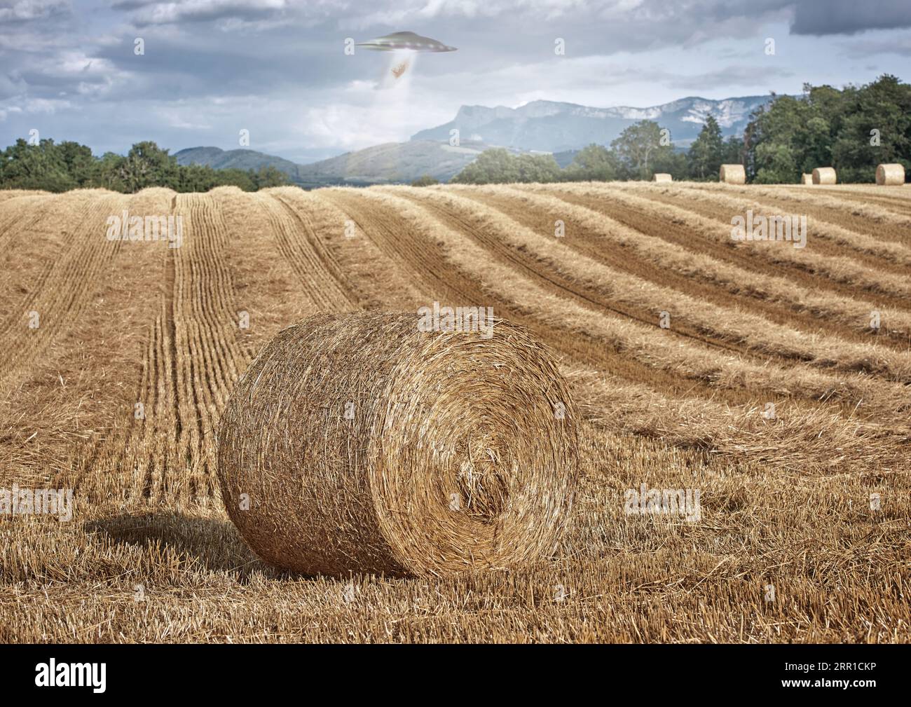 UFO, farm and field with alien spaceship invasion, hay or tractor beam ...