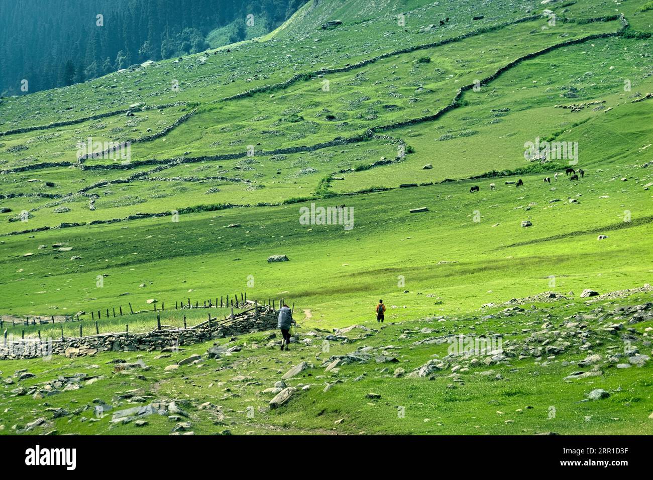 Trekking through the beautiful Warwan Valley, Kashmir, India Stock ...