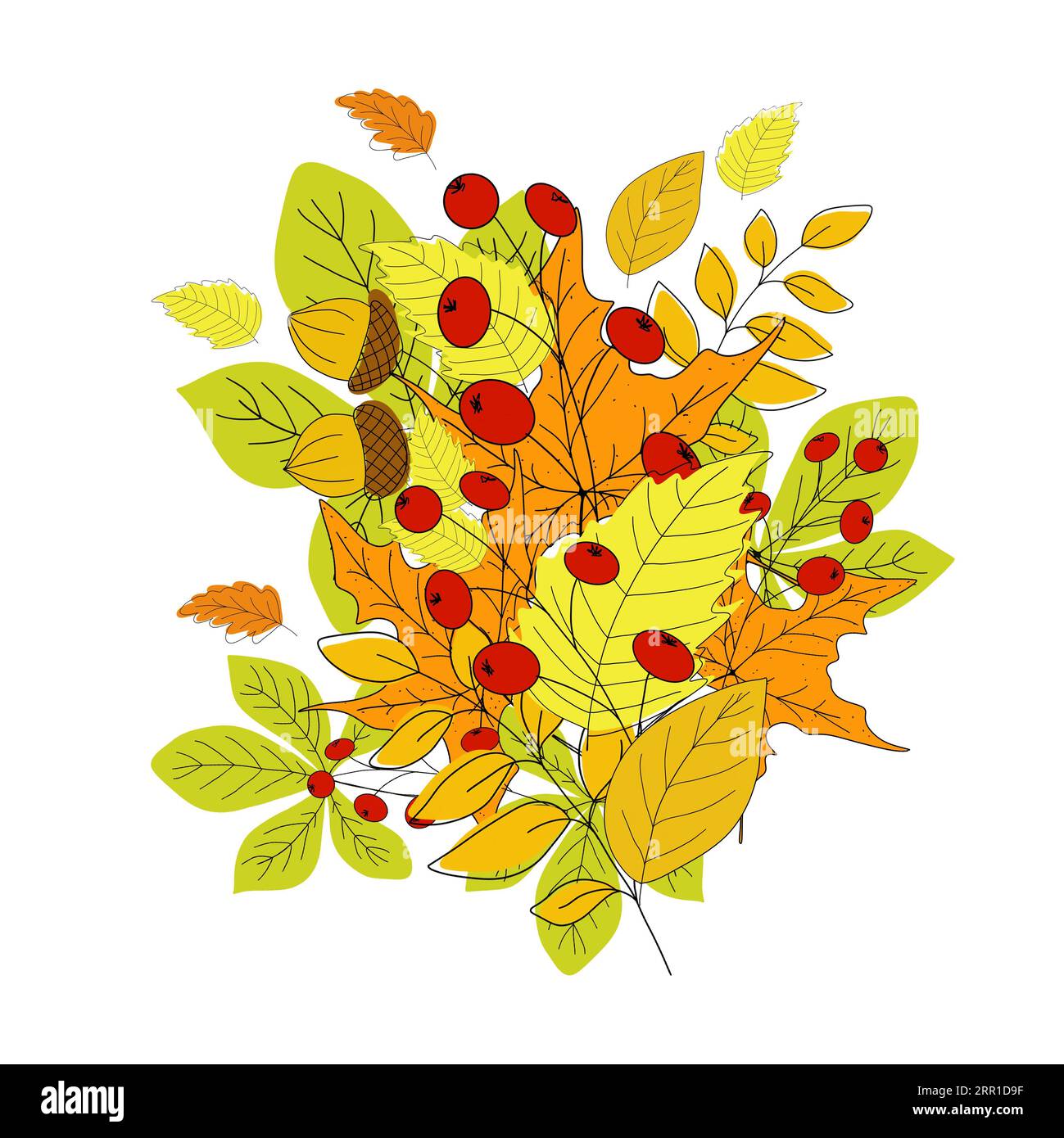Autumn composition of colorful leaves with acorns and berries. Hand ...