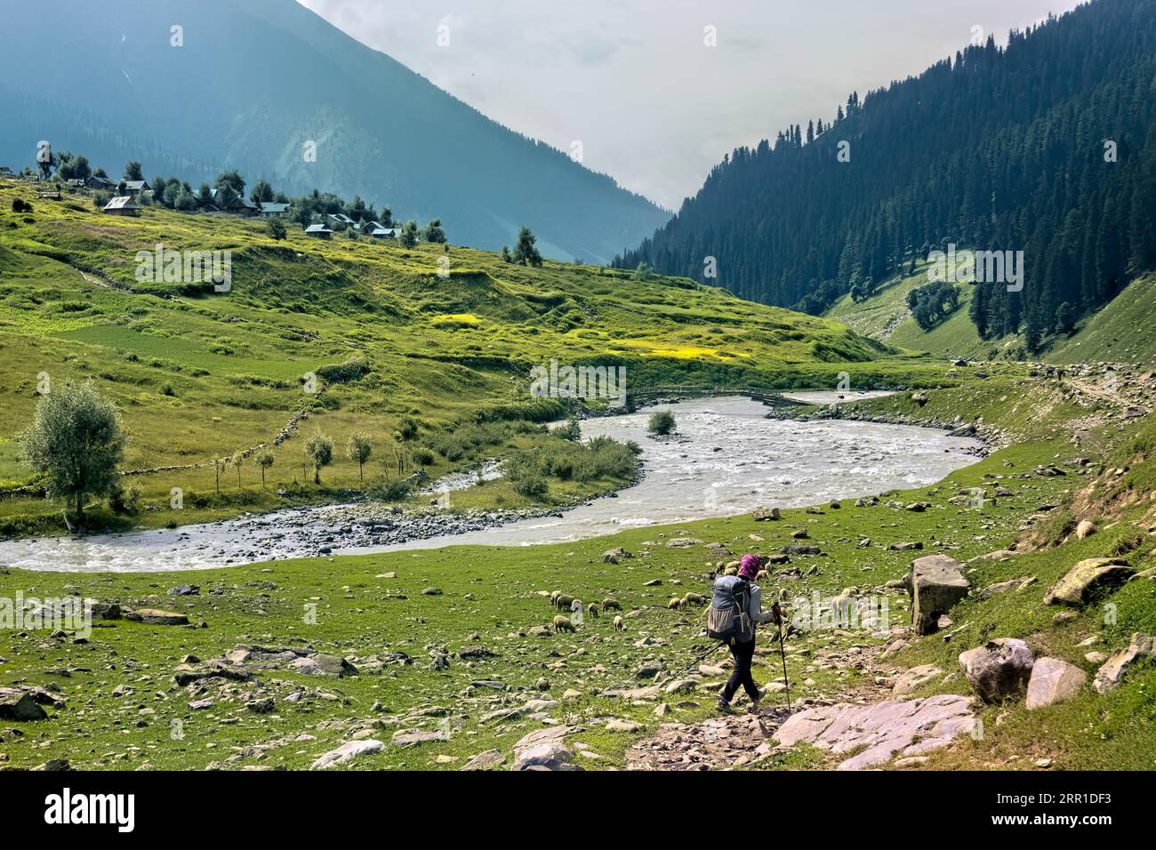 Trekking through the beautiful Warwan Valley, Kashmir, India Stock ...
