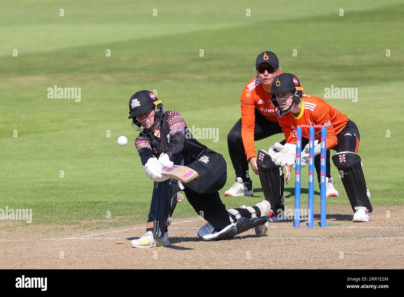 Royal london cup trophy cricket hi-res stock photography and images - Alamy