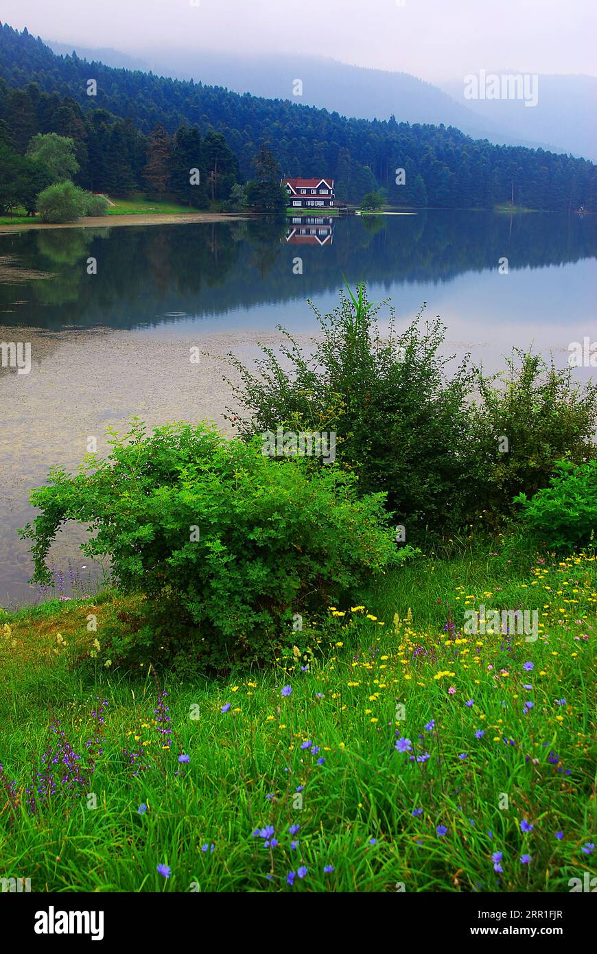 Abant water hi-res stock photography and images - Alamy