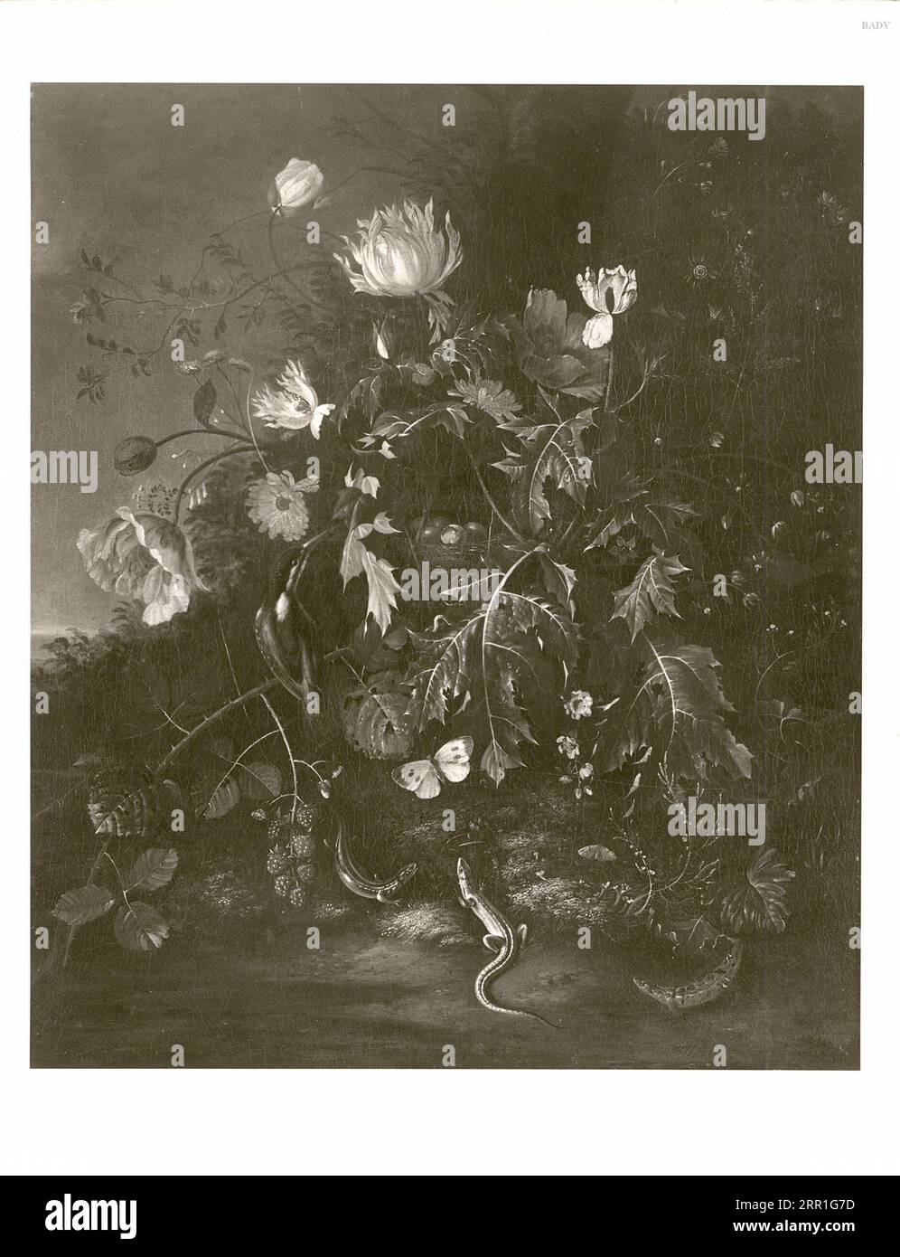 Flower still life with kingfisher and lizard in a landscape between ...