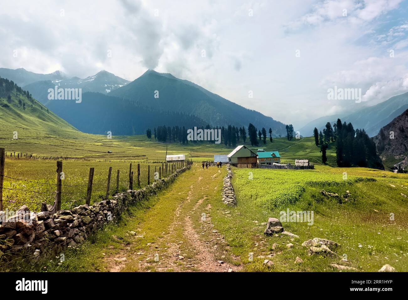 Trekking through the beautiful verdant Warwan Valley, Kashmir, India ...