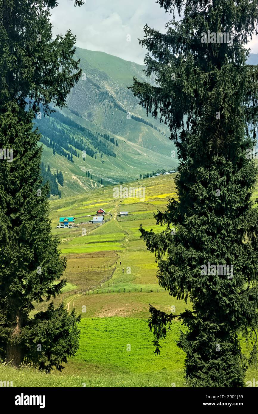 Trekking through the beautiful verdant Warwan Valley, Kashmir, India ...