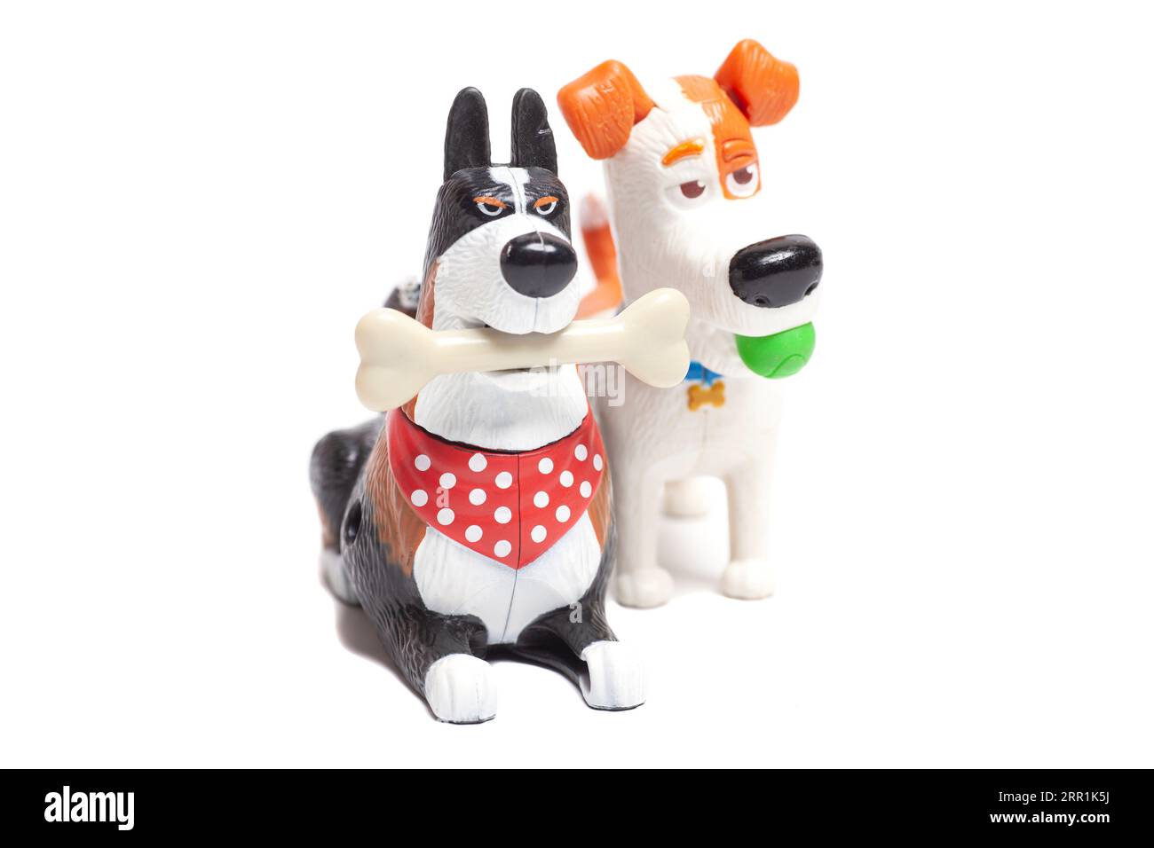 Dog toys isolated on white background Stock Photo - Alamy