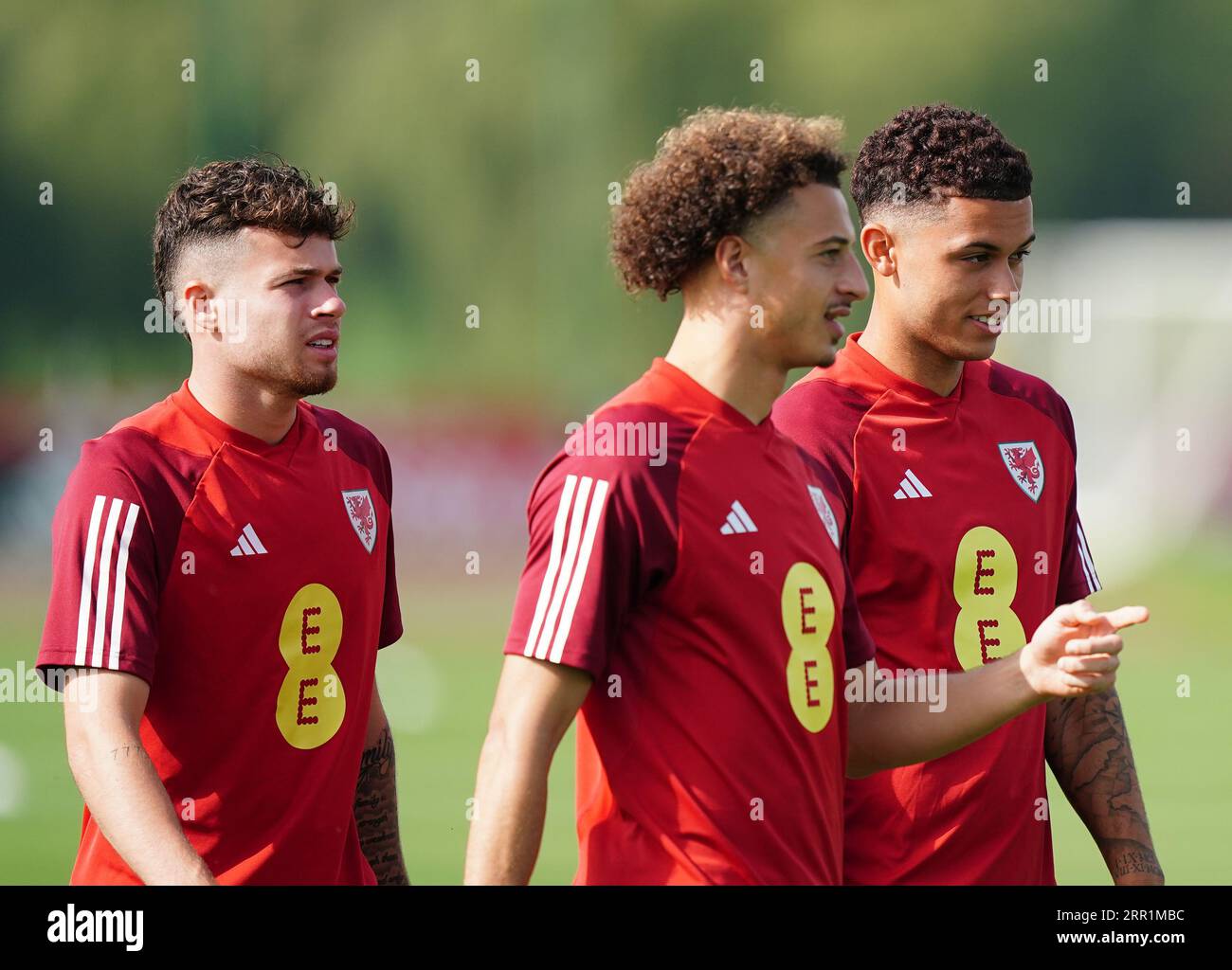 Wales' Neco Williams, Ethan Ampadu and Brennan Johnson (left-right ...