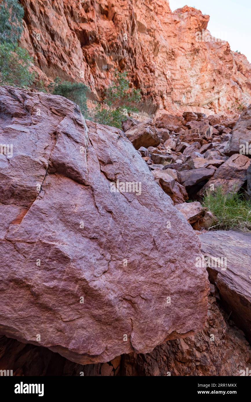 A quartzite boulder at Simpsons Gap (Rungutjirpa) in the Northern ...