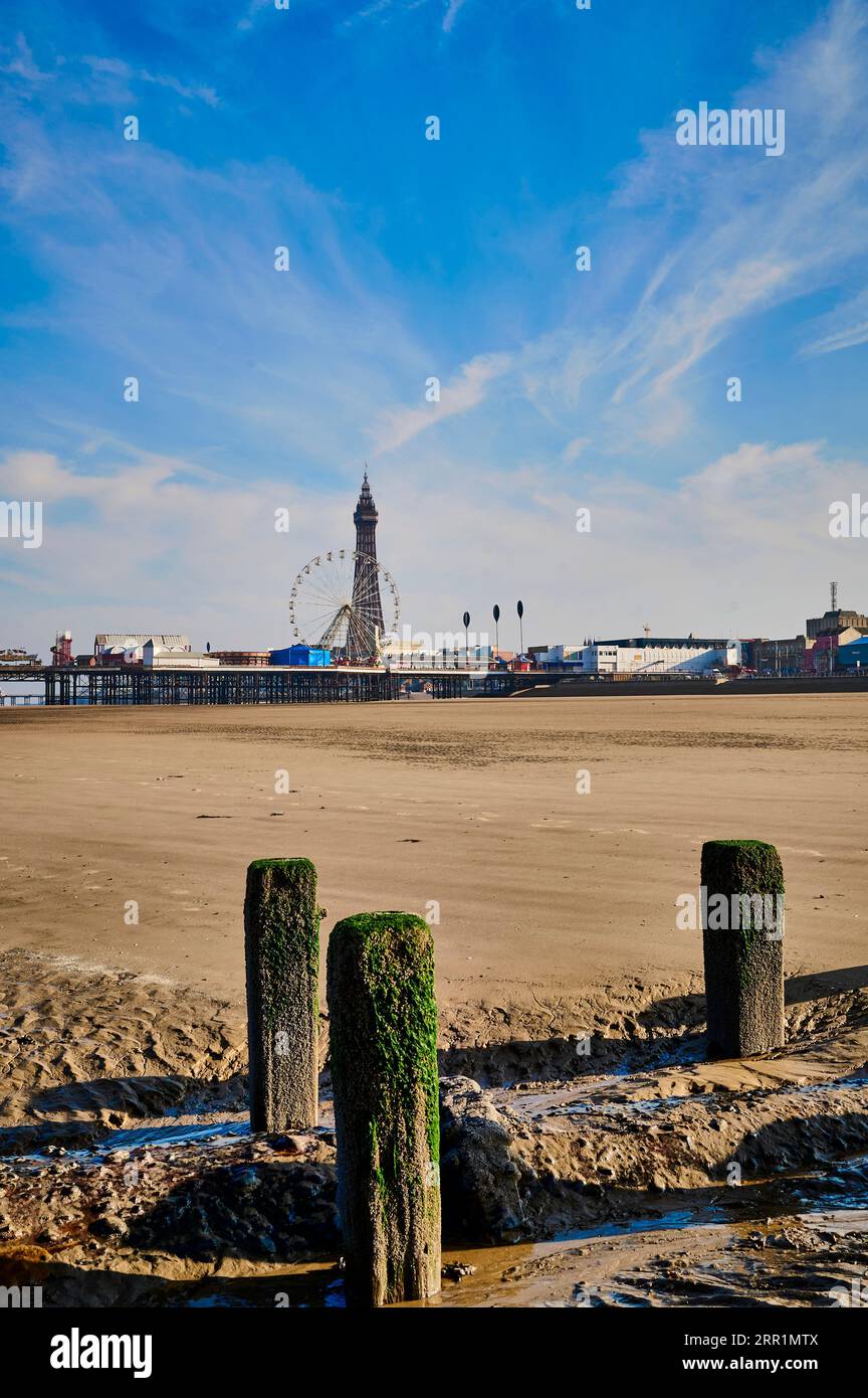 Wooden groyne on empty Blackpool beach with Tower and Ferris wheel in ...