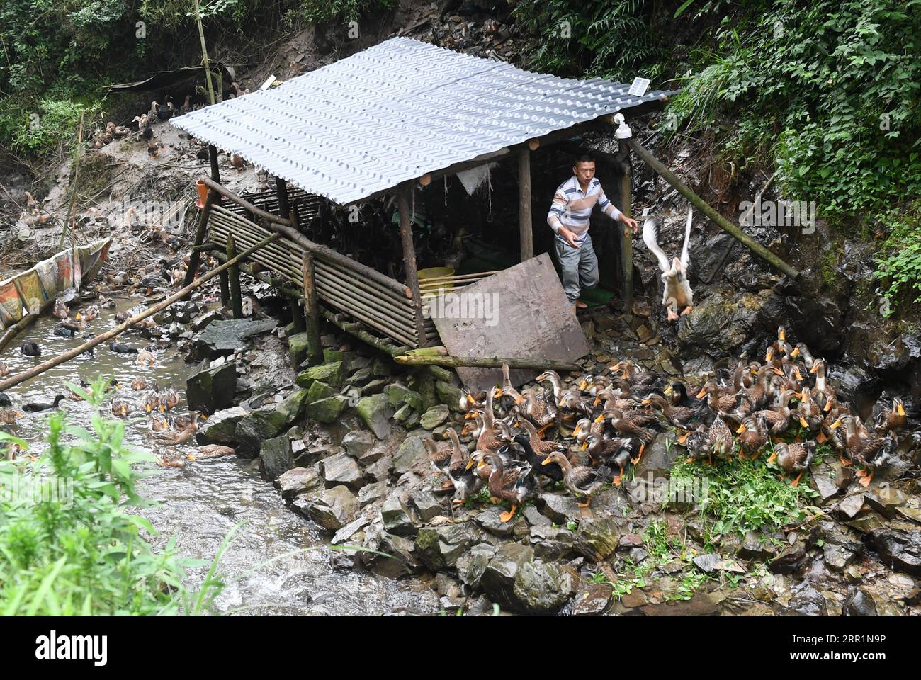 Madi people hi-res stock photography and images - Alamy