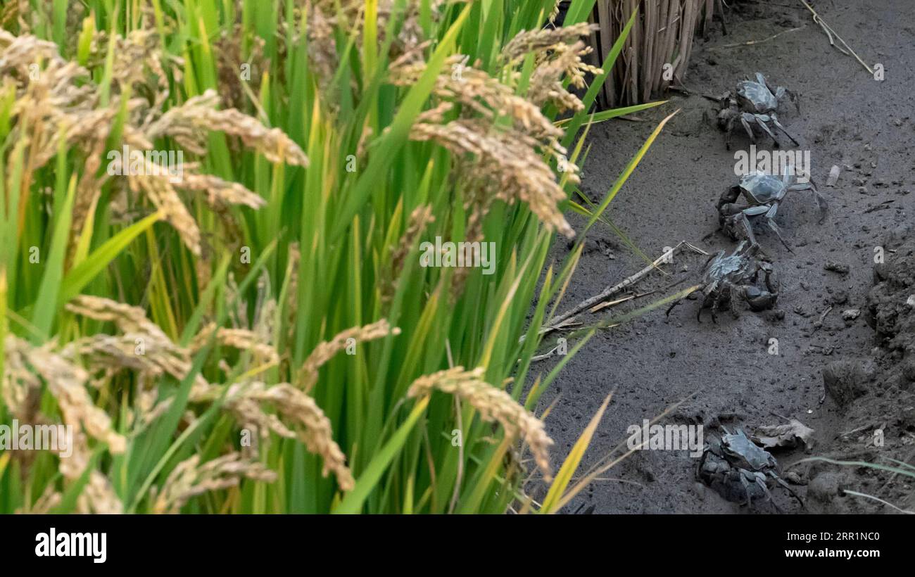 New method hi-res stock photography and images - Alamy