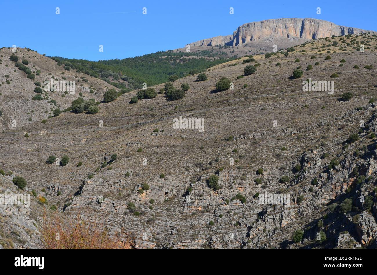 Mediterranean biome mountains hi-res stock photography and images - Alamy