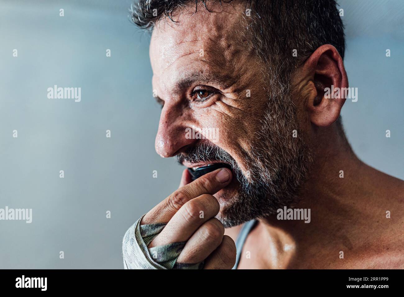 Side view of adult crop male boxer looking away while standing against ...