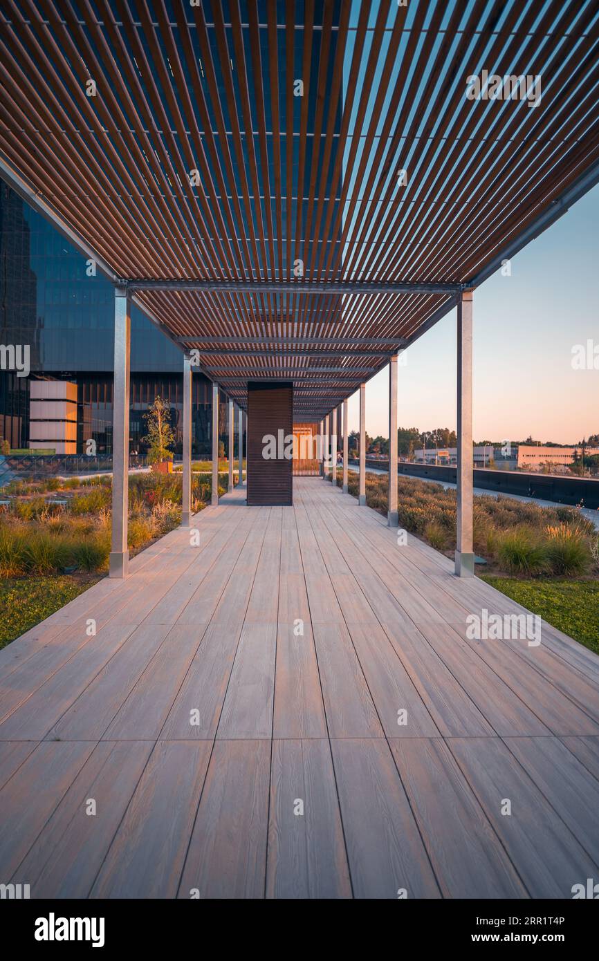 Exterior of modern wooden walkway with columns near green grass shrubs ...