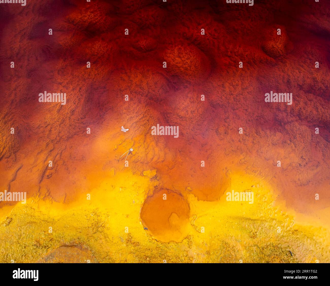 Top view of textured surface of rough stone with yellow color granular ...