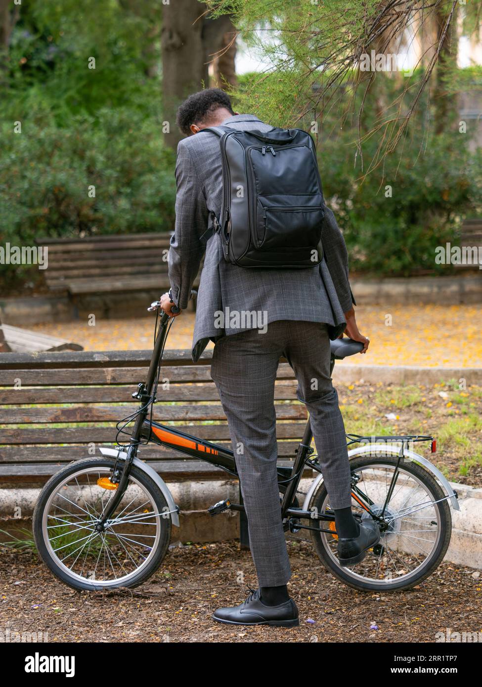 Businessman bench in park back view hi-res stock photography and images ...