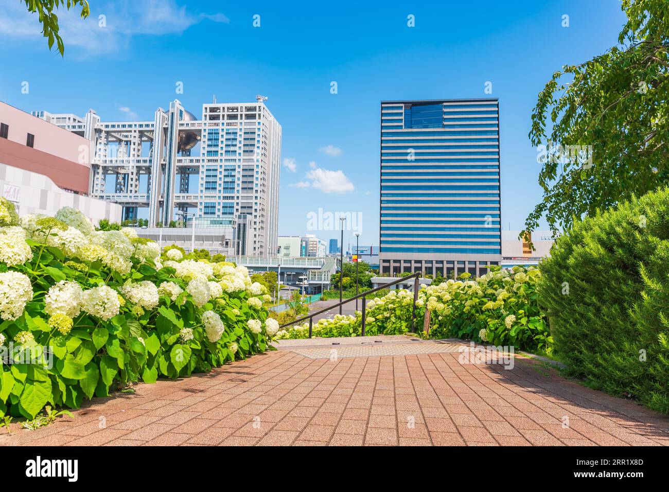 Hydrangea Stairs odaiba Tokyo Japan Stock Photo - Alamy