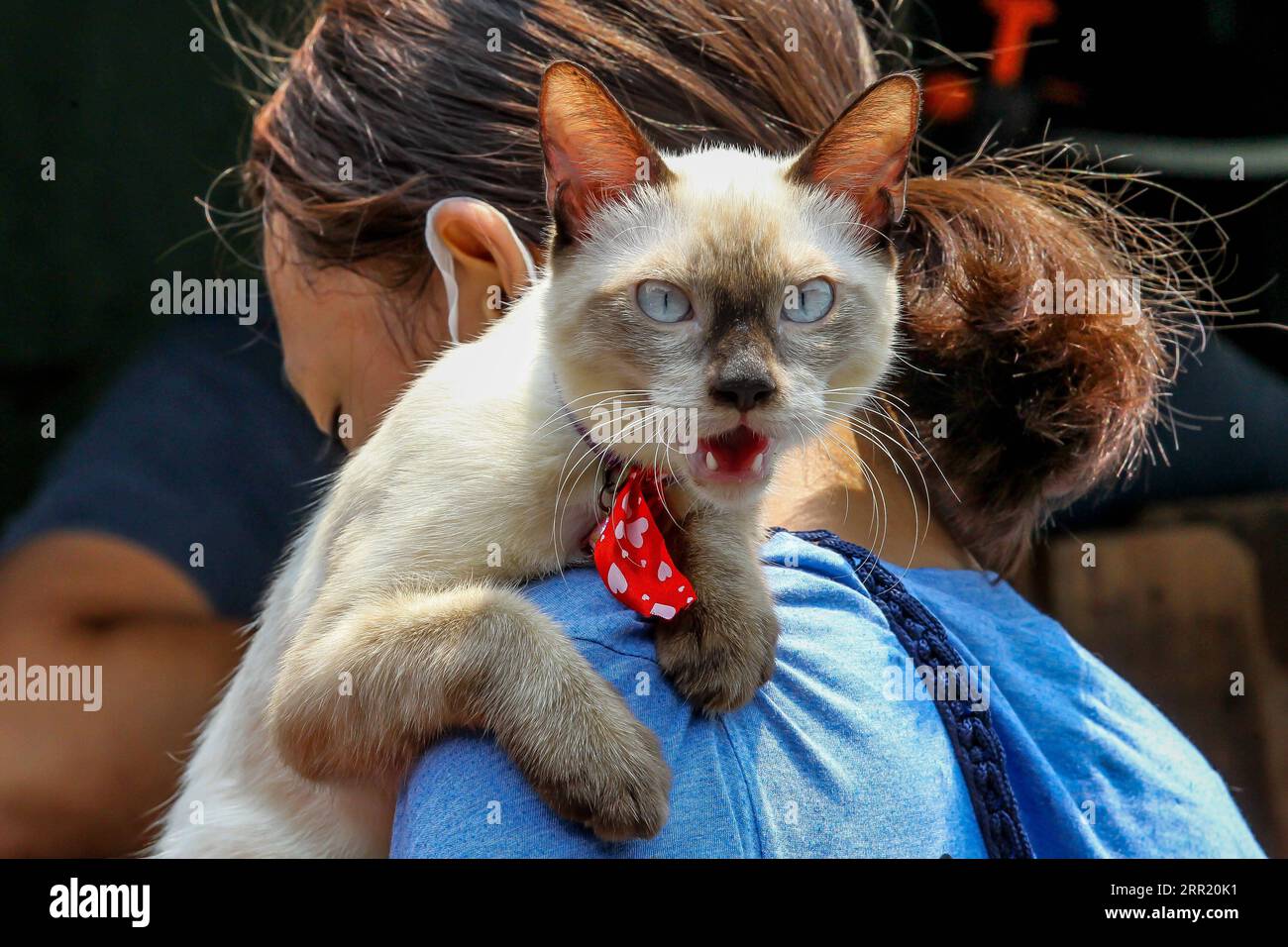 200928 -- MANILA, Sept. 28, 2020 -- A woman carries her pet cat waiting ...