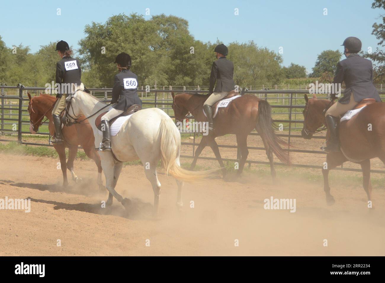 Piaffe hi-res stock photography and images - Alamy