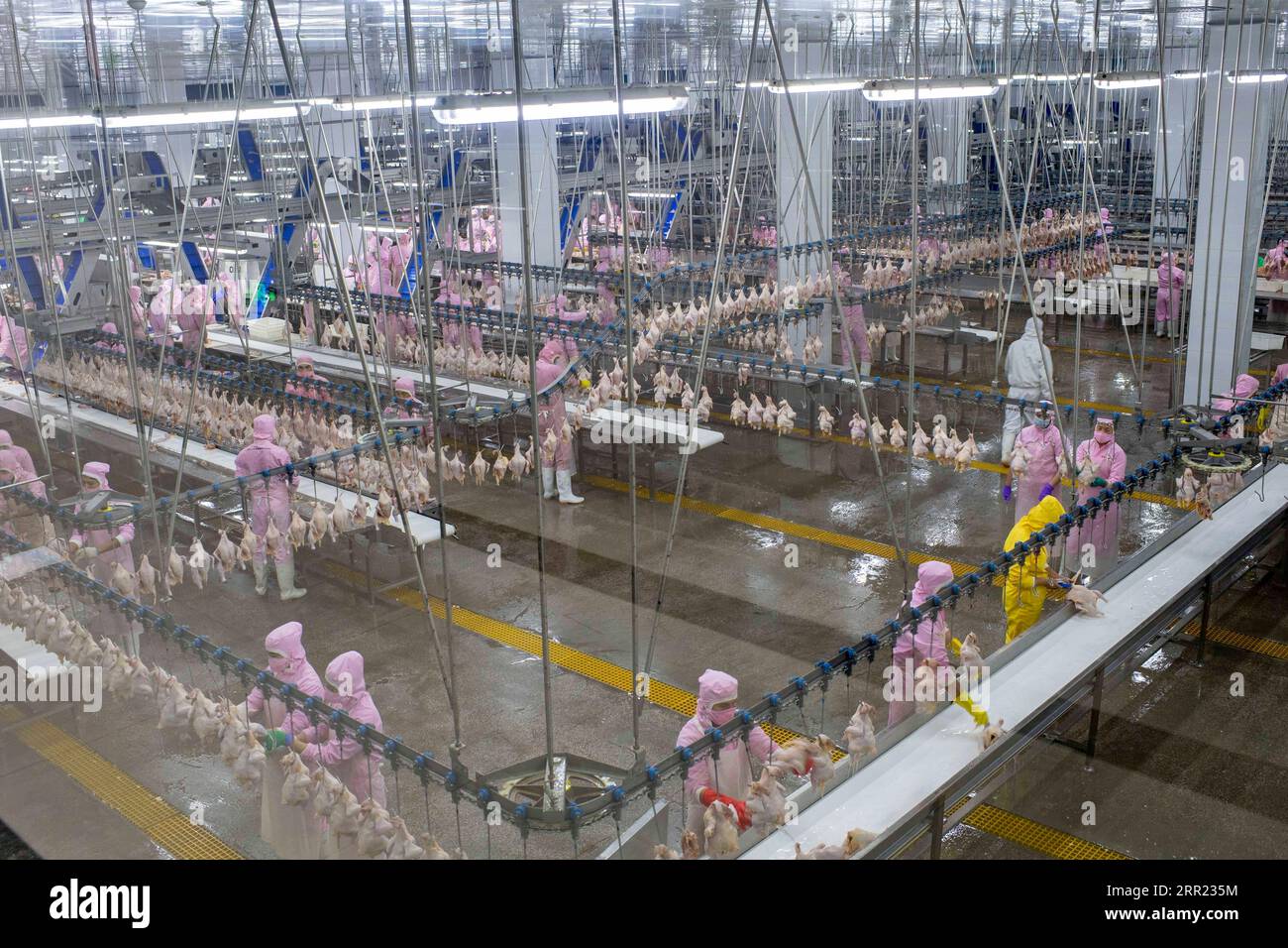 Rural slaughterhouse hi-res stock photography and images - Alamy