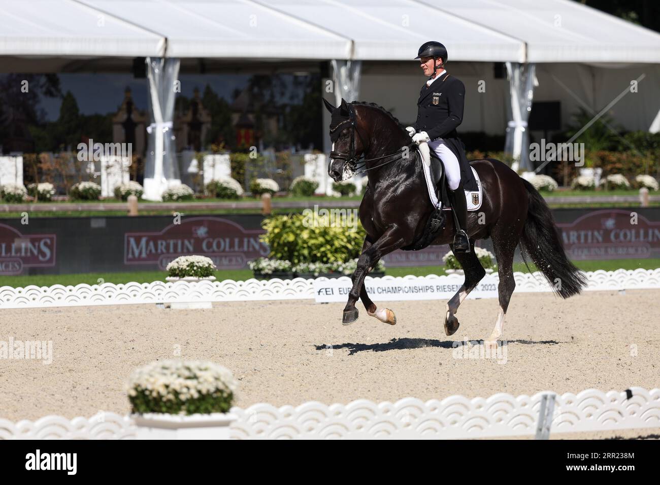 Riesenbeck, Germany. 06th Sep, 2023. Equestrian sport: European ...