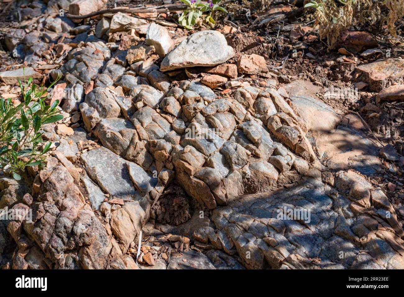 Angkerle atwatye meaning gap of water hi-res stock photography and ...