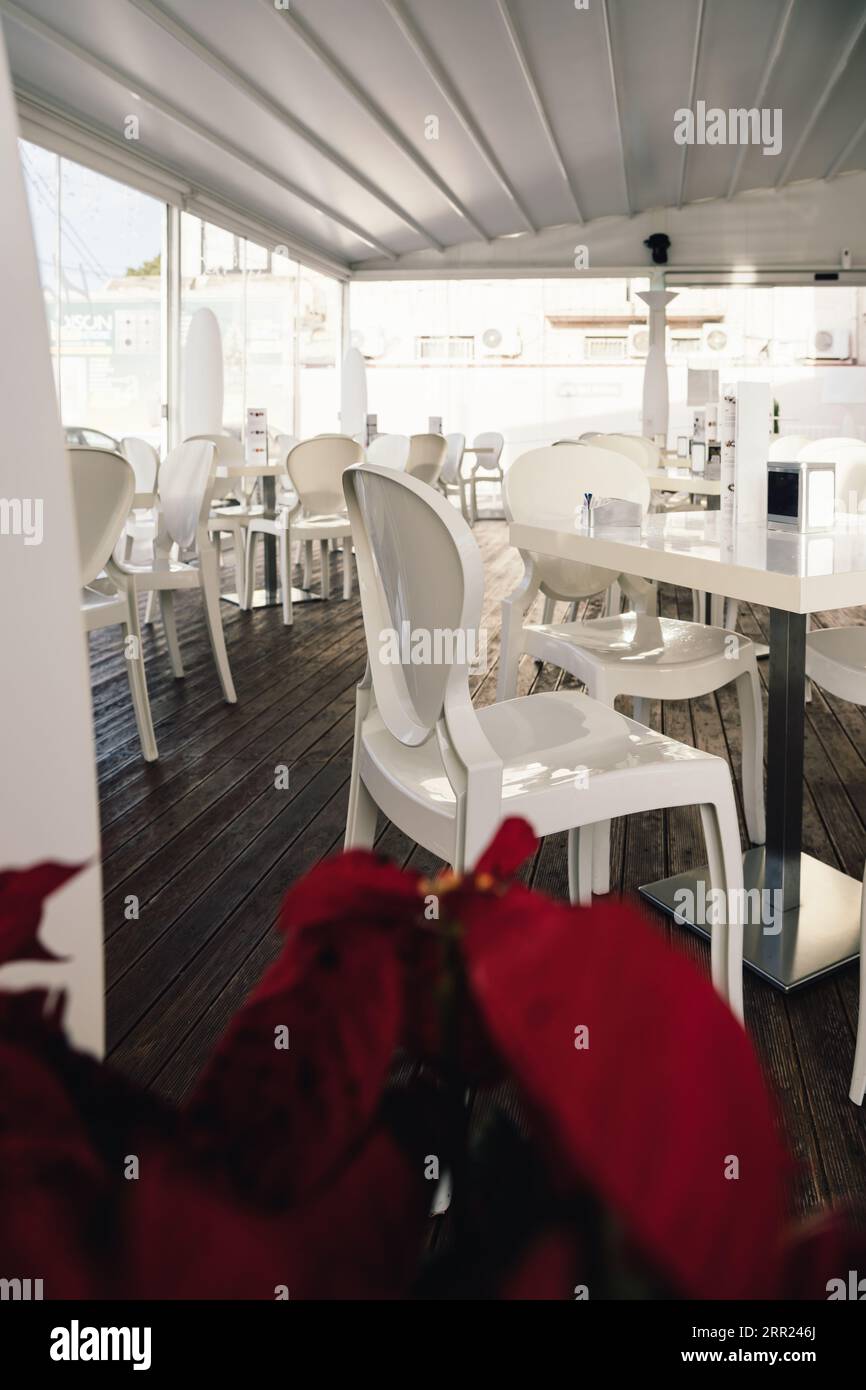 Empty cafe or bar interior, daytime. Coffee shop nobody indoor Stock ...