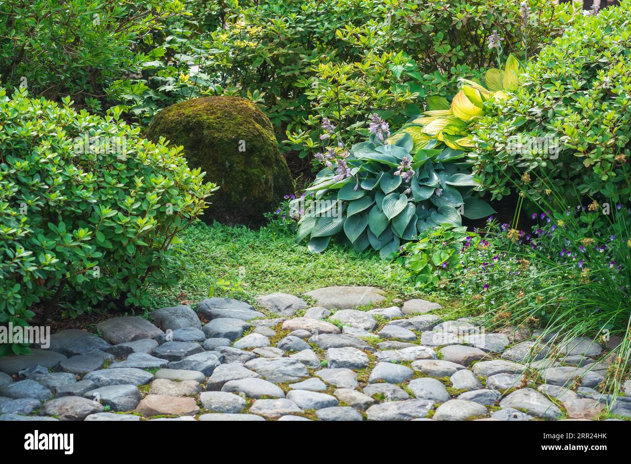 section of a Japanese garden, a fragment of a stone-paved path, plants ...