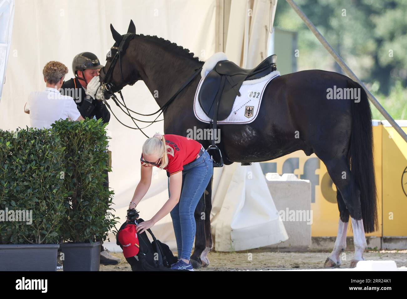 Riesenbeck, Germany. 06th Sep, 2023. Equestrian sport: European ...