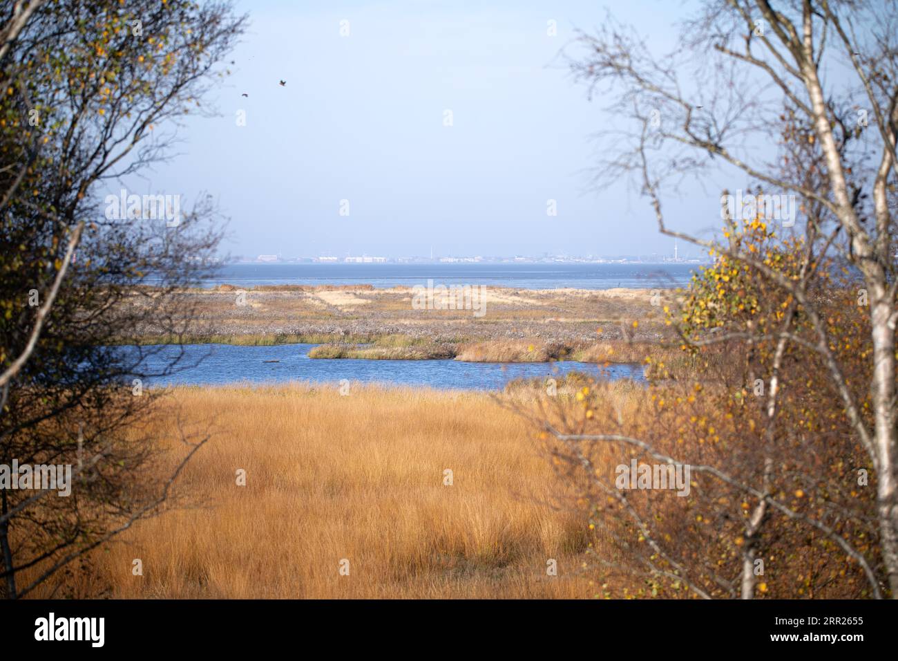 Floating bog, view into the bog from the hinterland, the only bog of ...