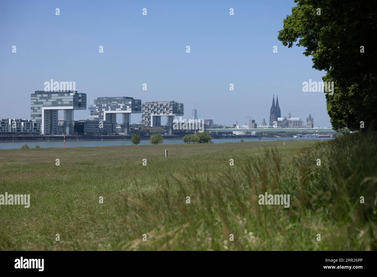 City view of Cologne over Poller Wiesen, Rheinauhafen, Rhine, crane ...