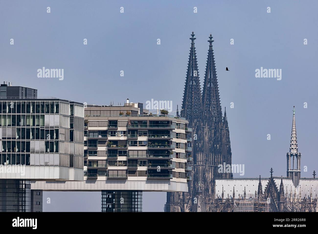 Crane houses in Rheinauhafen and cathedral, new and old architecture in ...