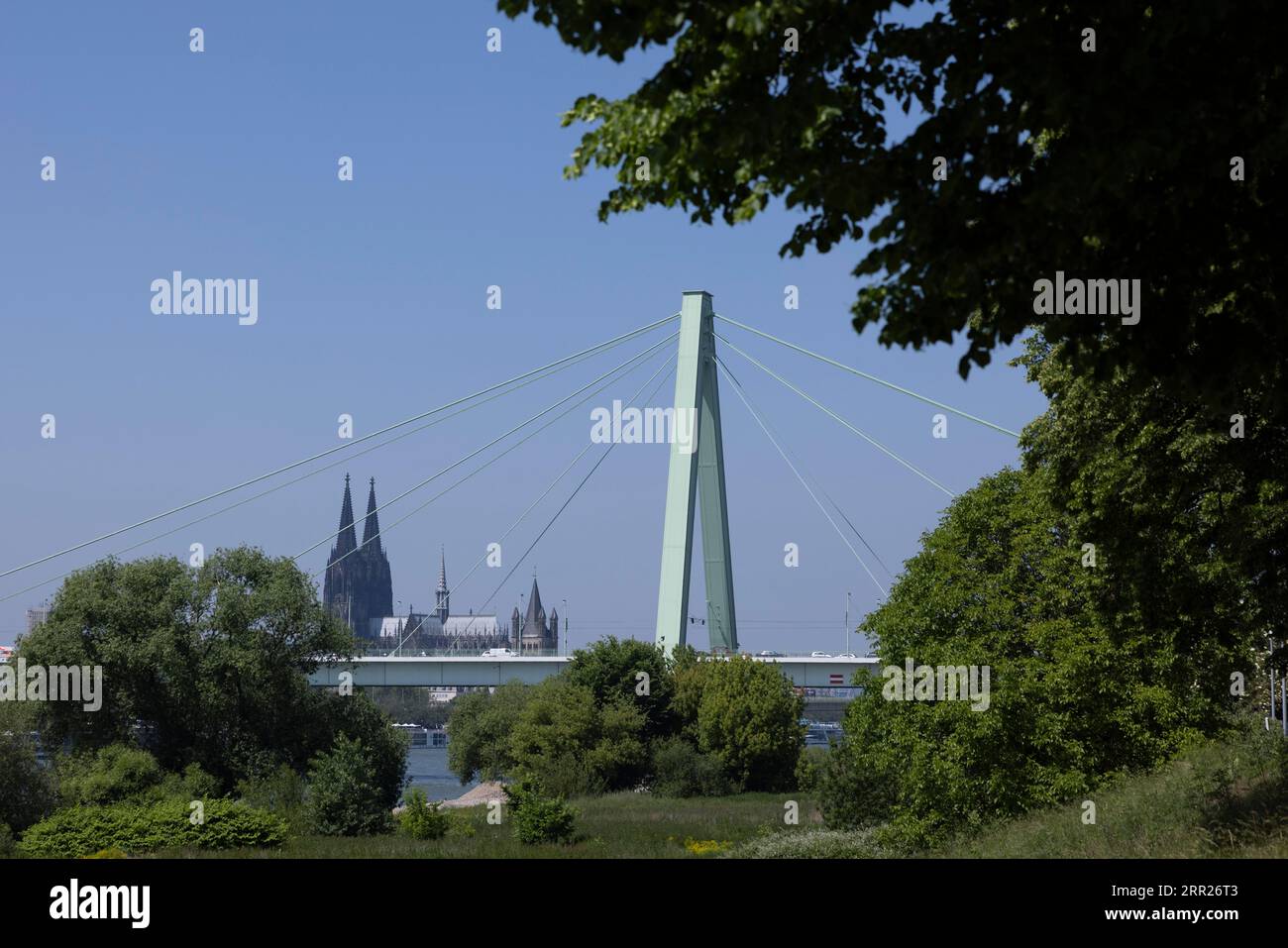 Rhine Bridge, Severinsbruecke and Cologne Cathedral seen from the ...