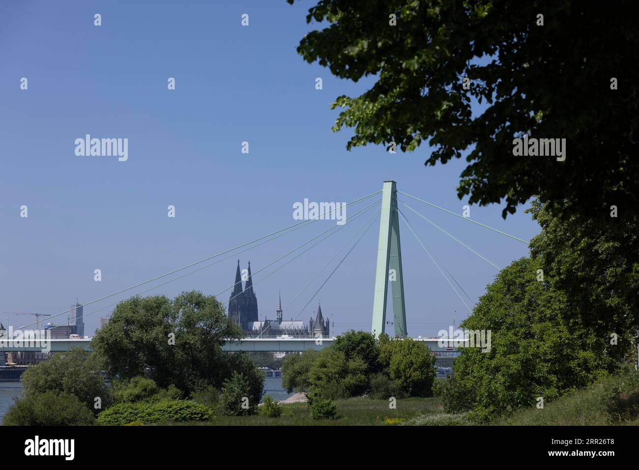 Rhine Bridge, Severinsbruecke and Cologne Cathedral seen from the ...