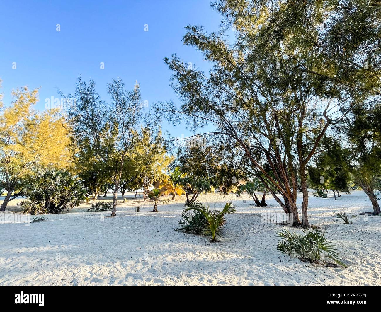 Madagascar, traditional lodge Stock Photo - Alamy