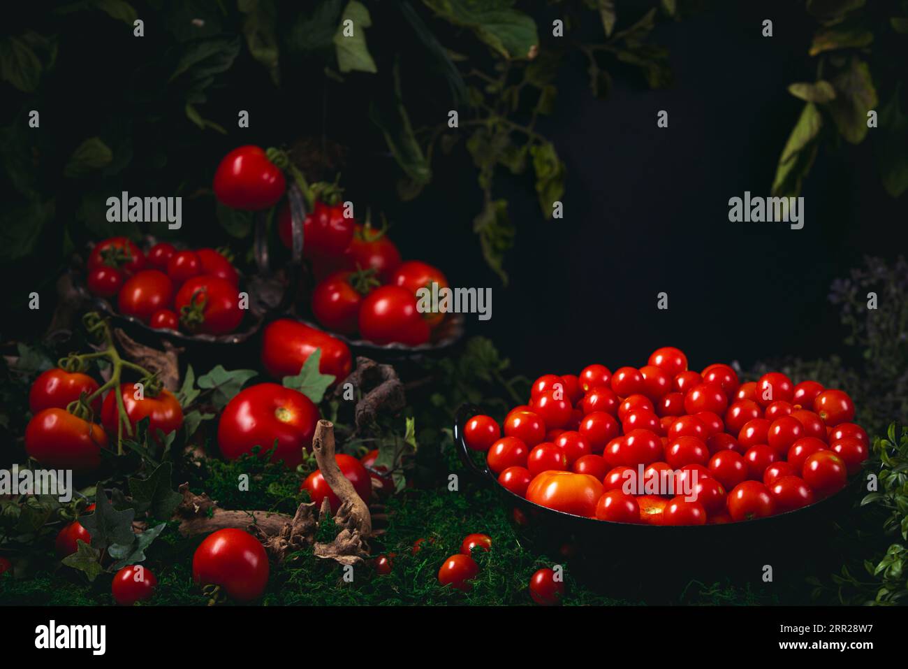 Various tomatoes in pot and on natural materials, food photography ...