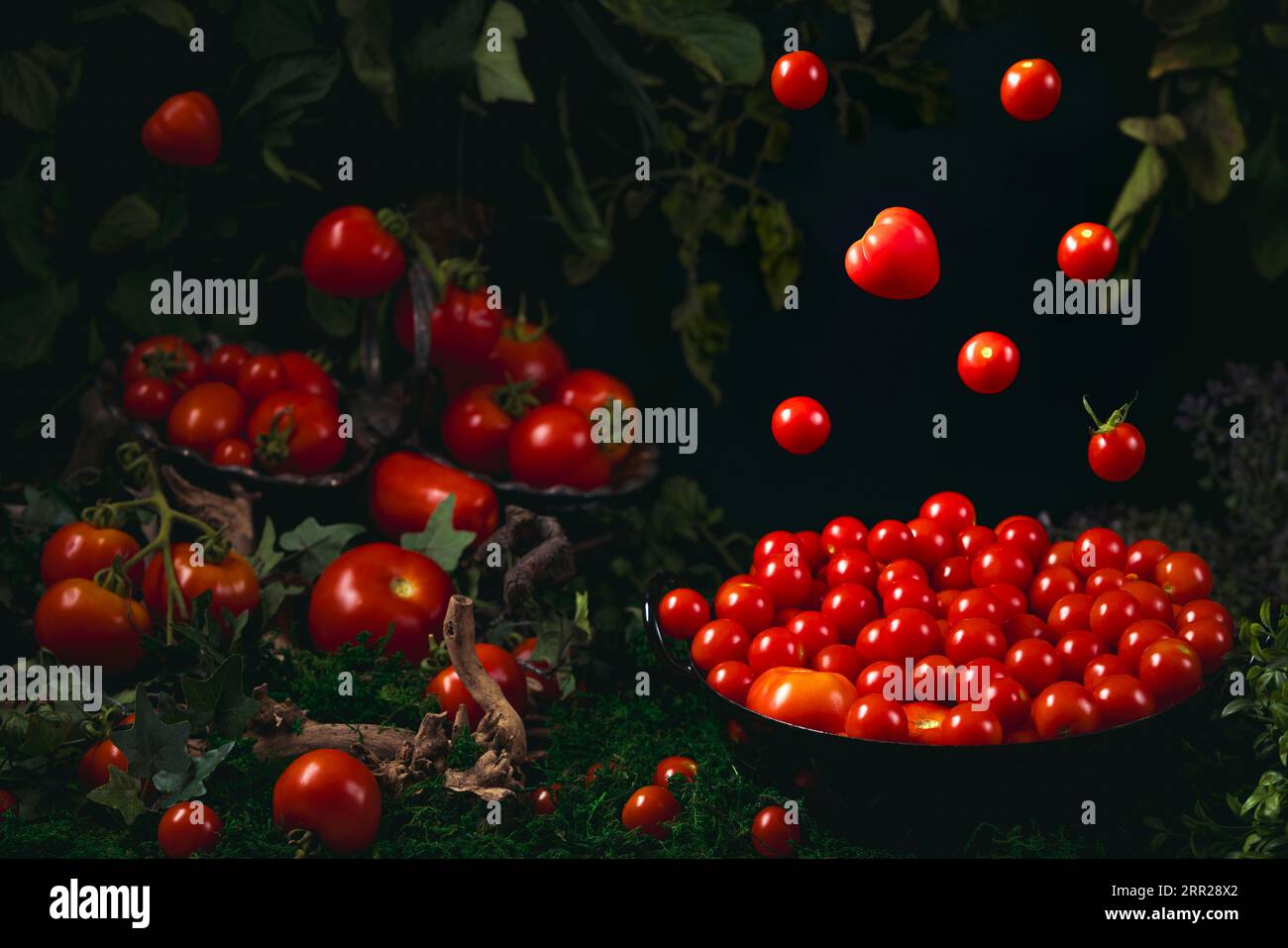 Various tomatoes in pot, on natural materials and flying, food ...
