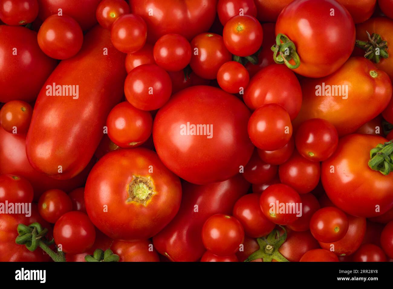 Different size tomatoes hi-res stock photography and images - Alamy