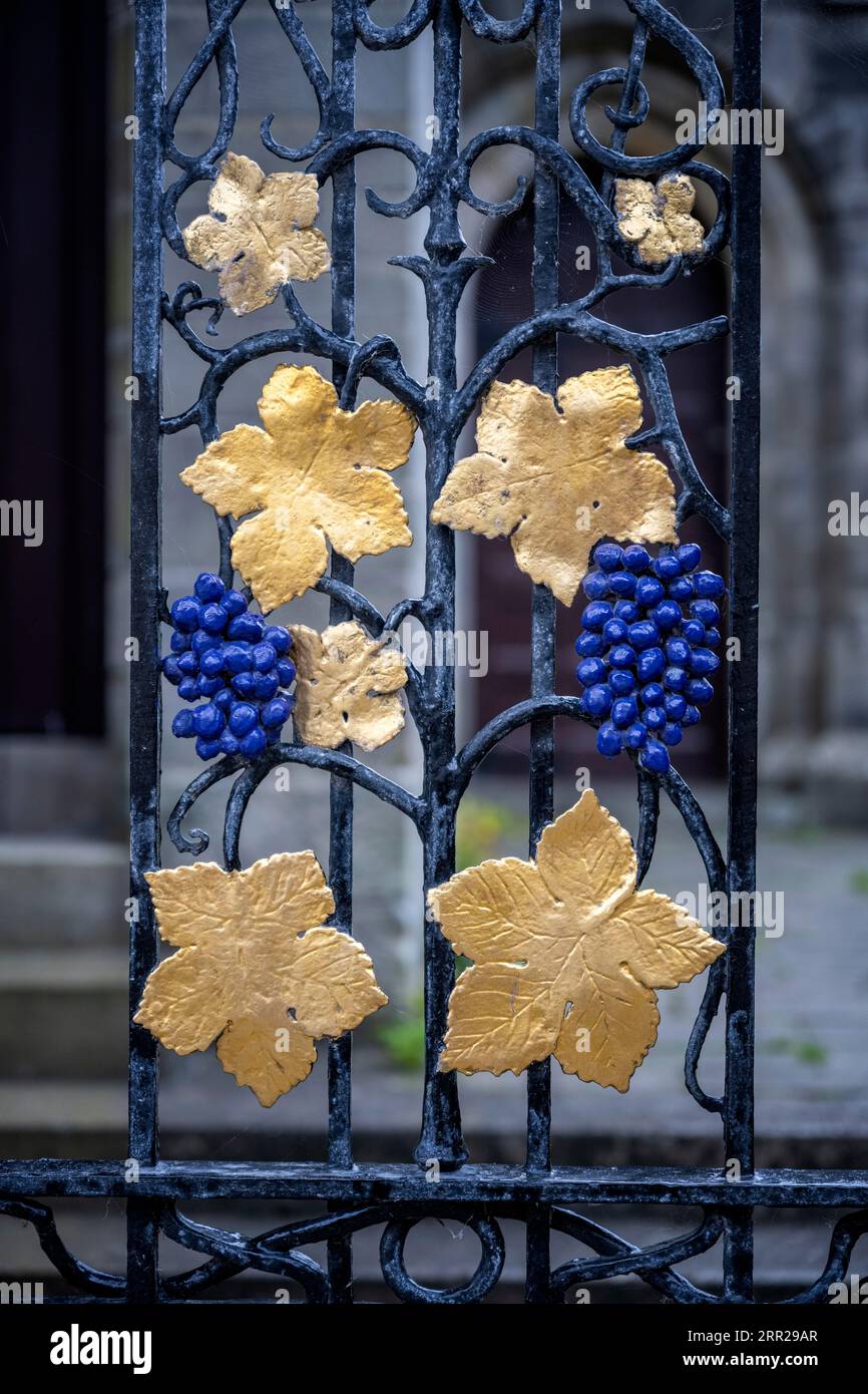 Ironwork in the form of golden vine leaves and vines on a wrought iron ...