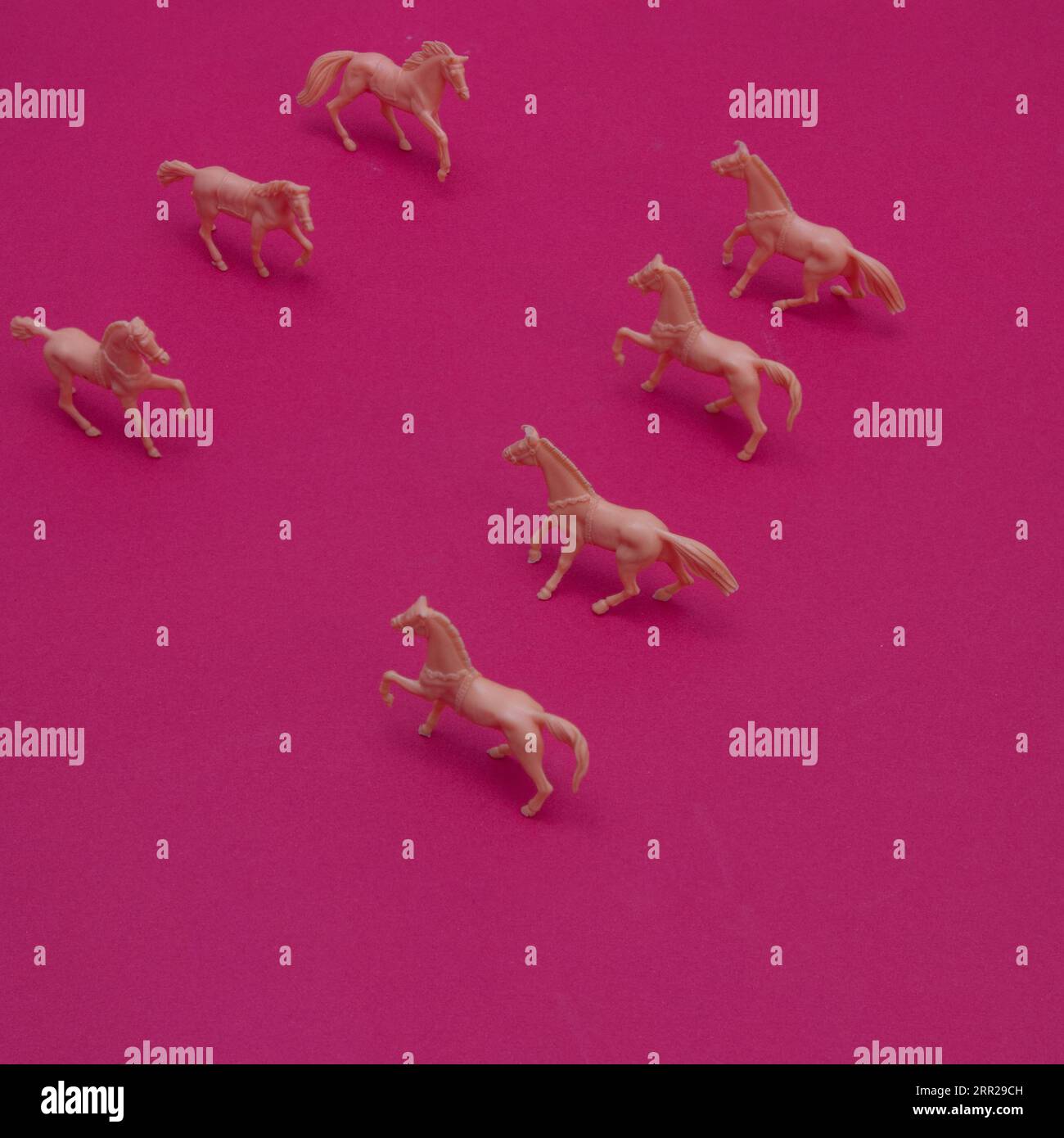 Horses lined up in two rows with a slight shadow on a pink background ...