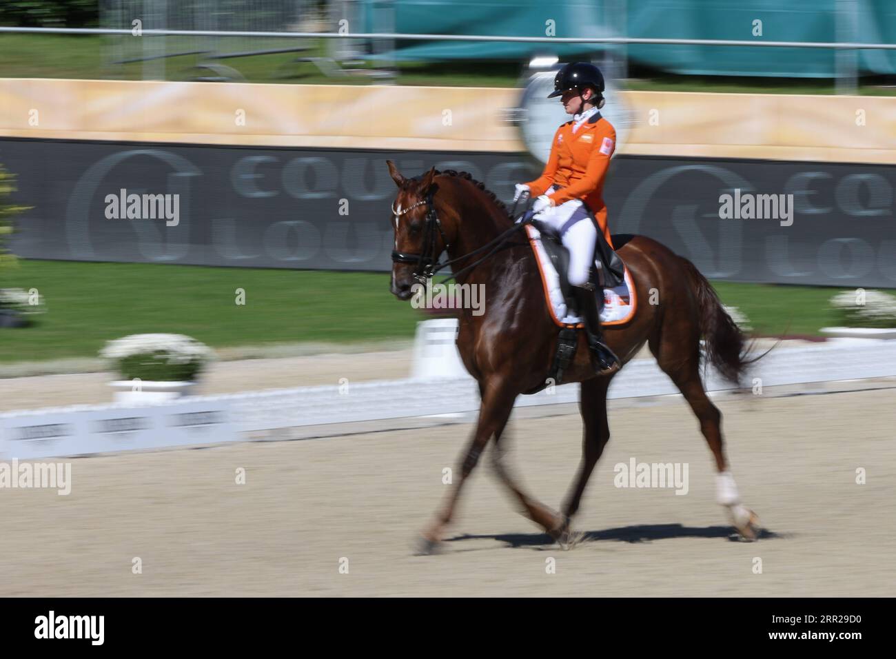 Riesenbeck, Germany. 06th Sep, 2023. Equestrian sport: European ...