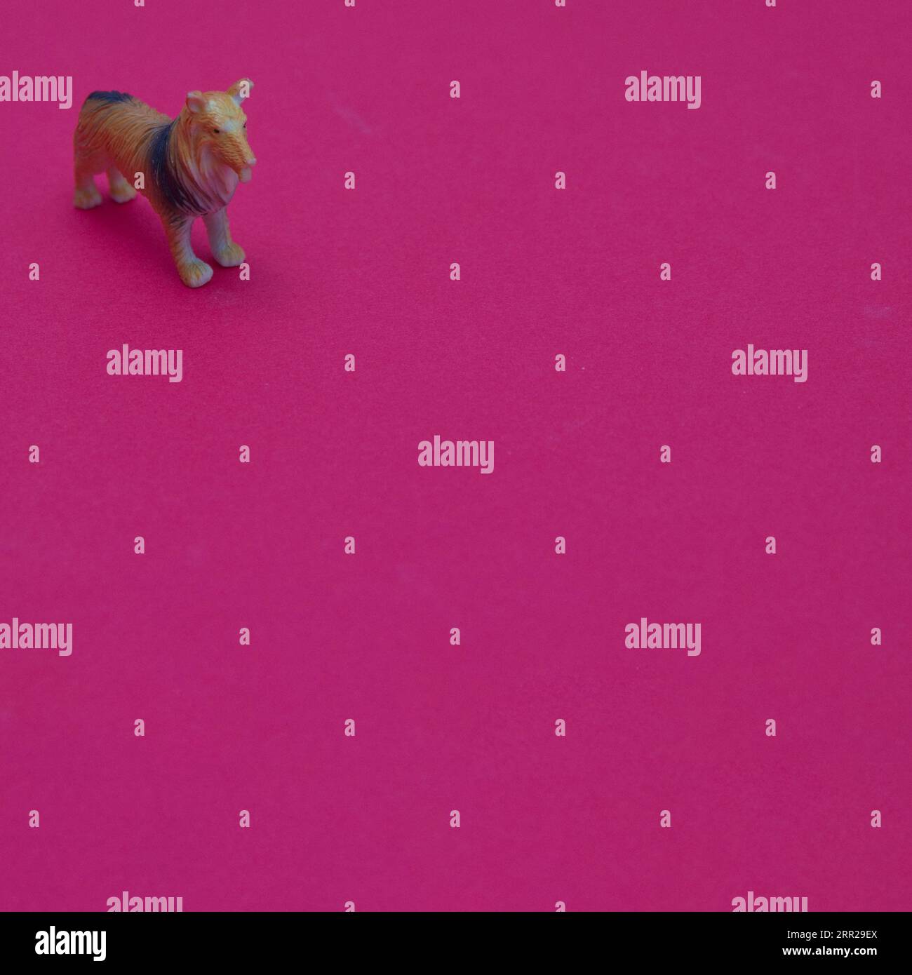 A dog in the upper left corner on a red background. Minimal love pets ...